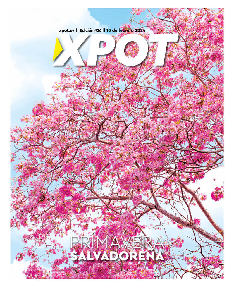 Edición 26 - XPOT