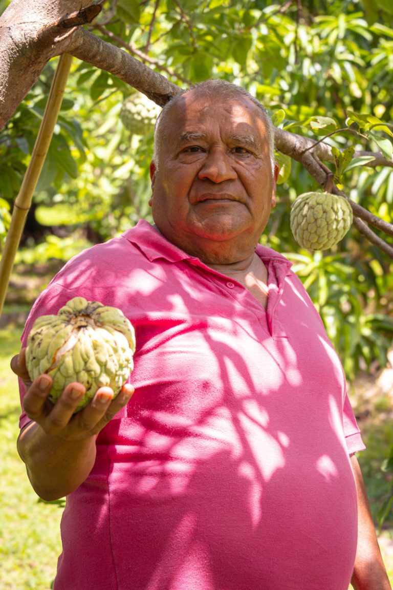 Descubre dónde y cómo se cultivan las anonas más sabrosas de El ...